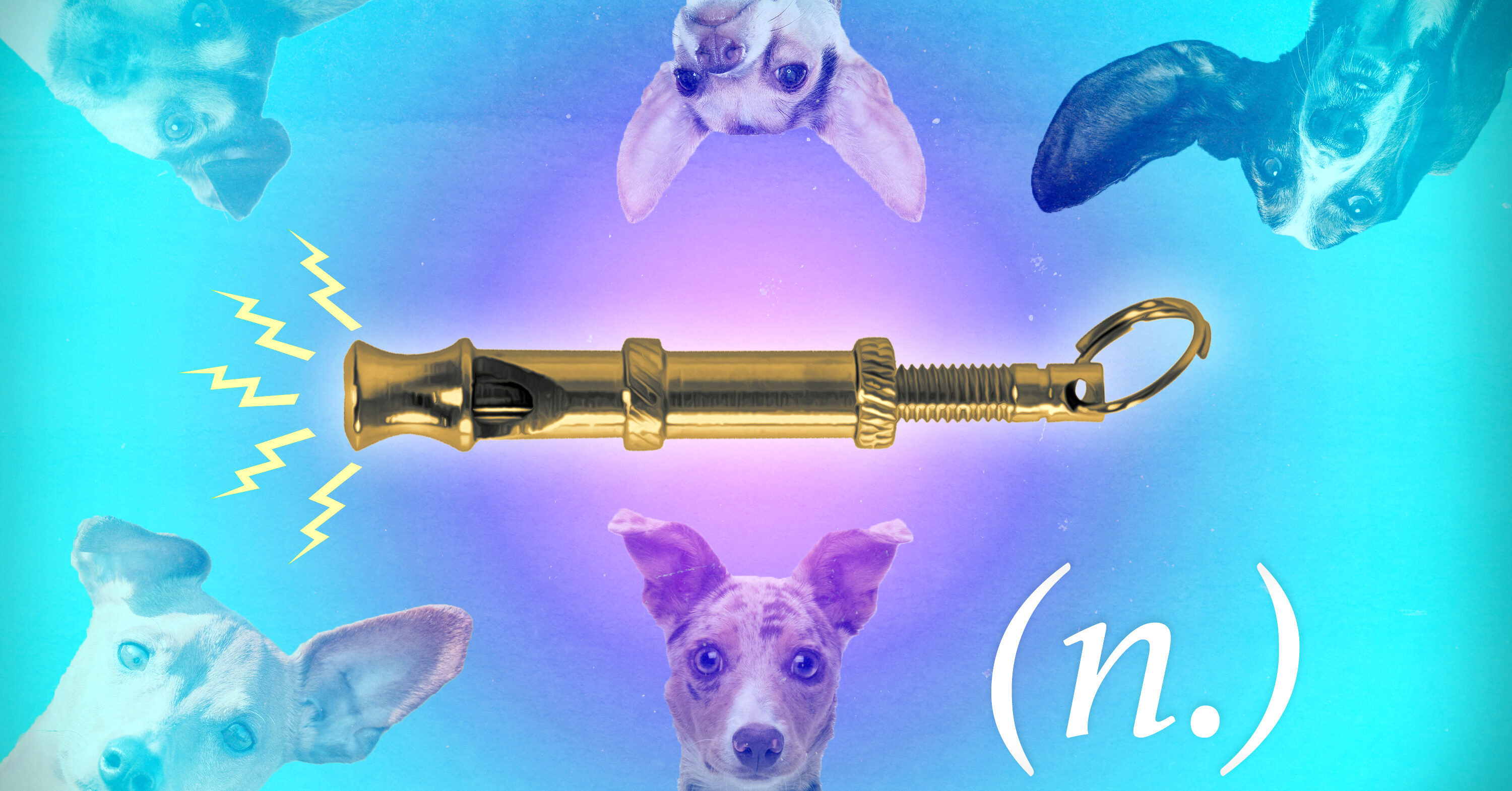 Lexicon: The Political “Dog Whistle” Is Obsolete - The Ringer