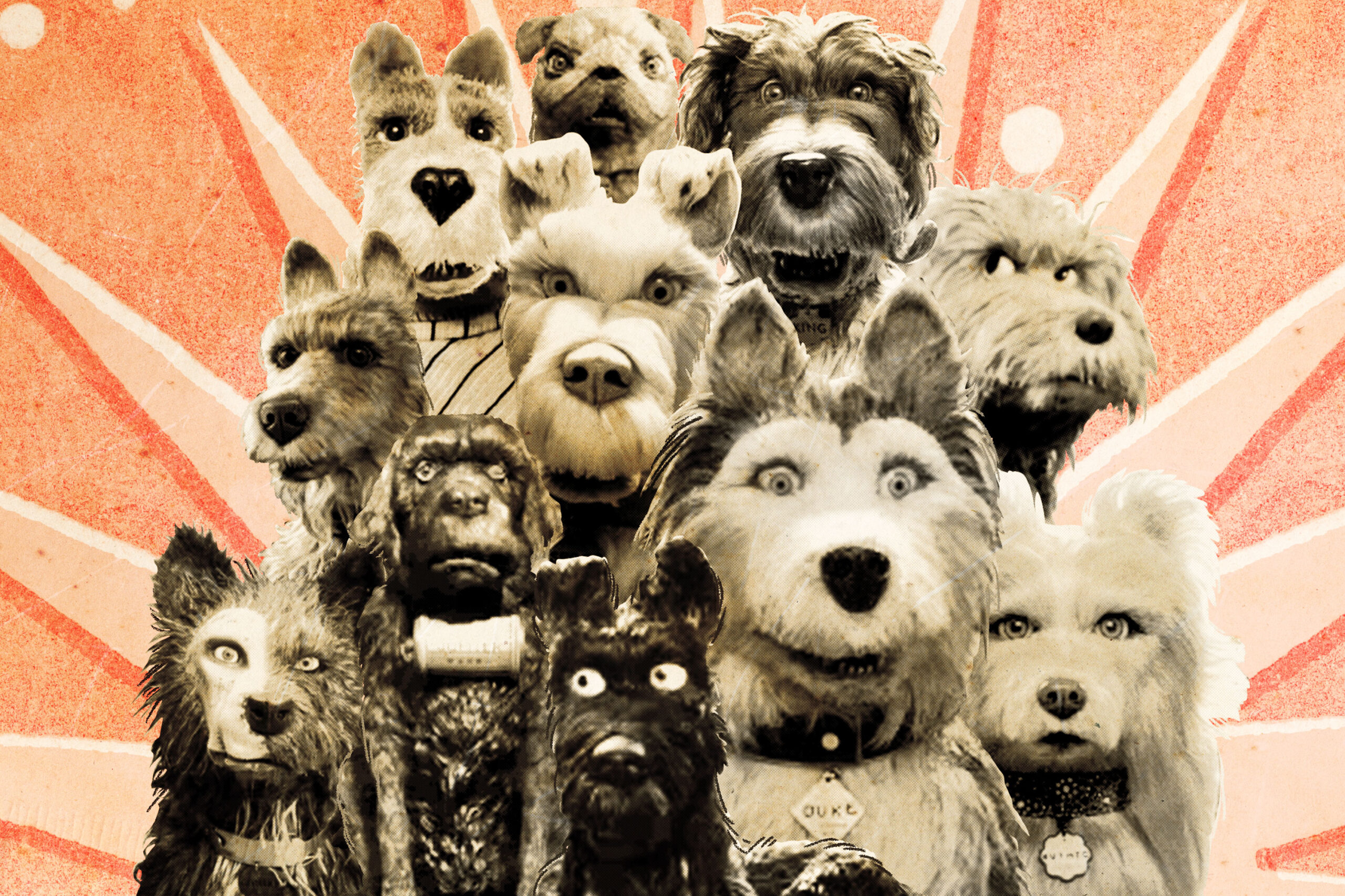 A Ranking of All the Dogs in ‘Isle of Dogs’ - The Ringer