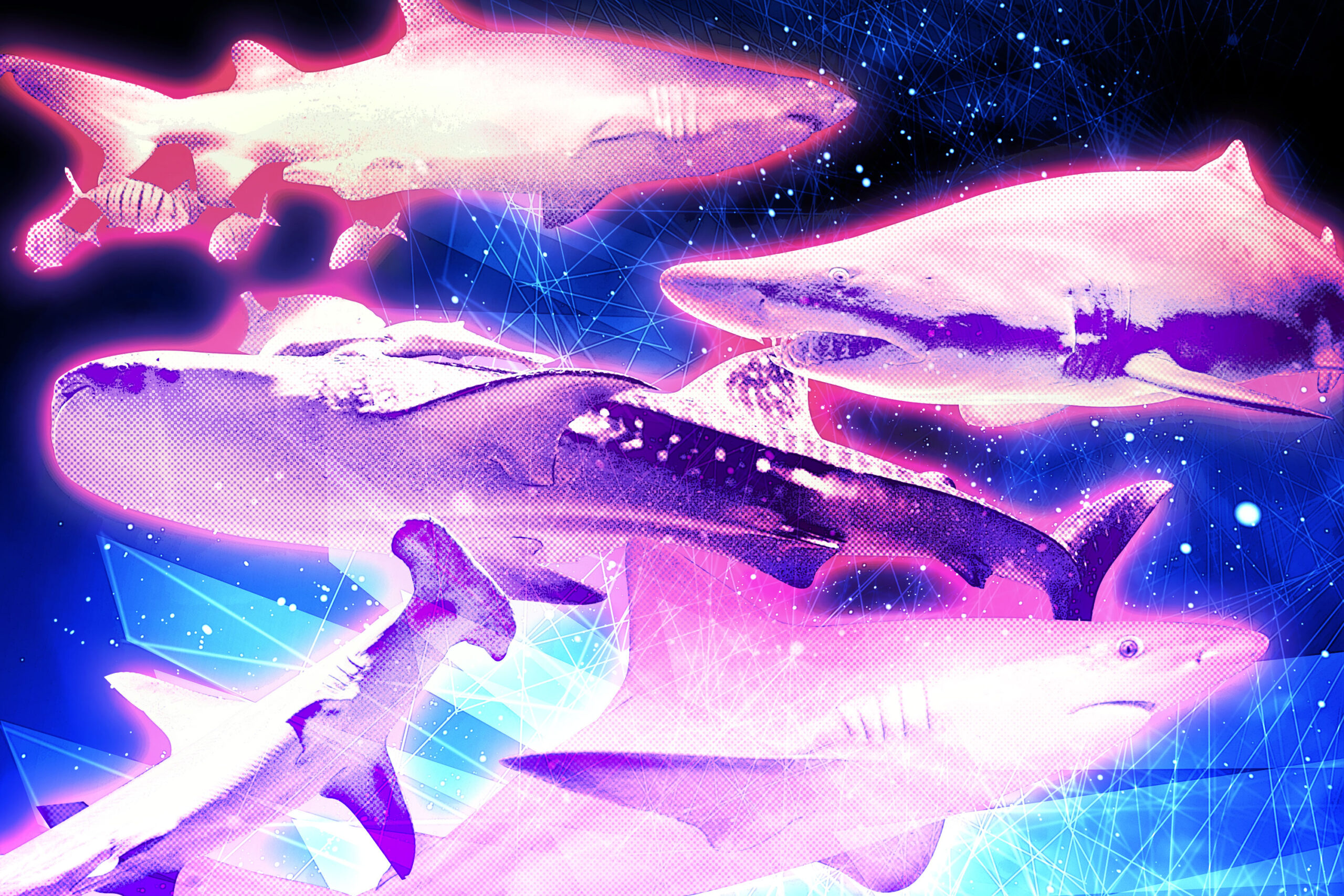 Seven Rules for Avoiding Shark Attacks, Based on Syfy’s Extended Shark ...