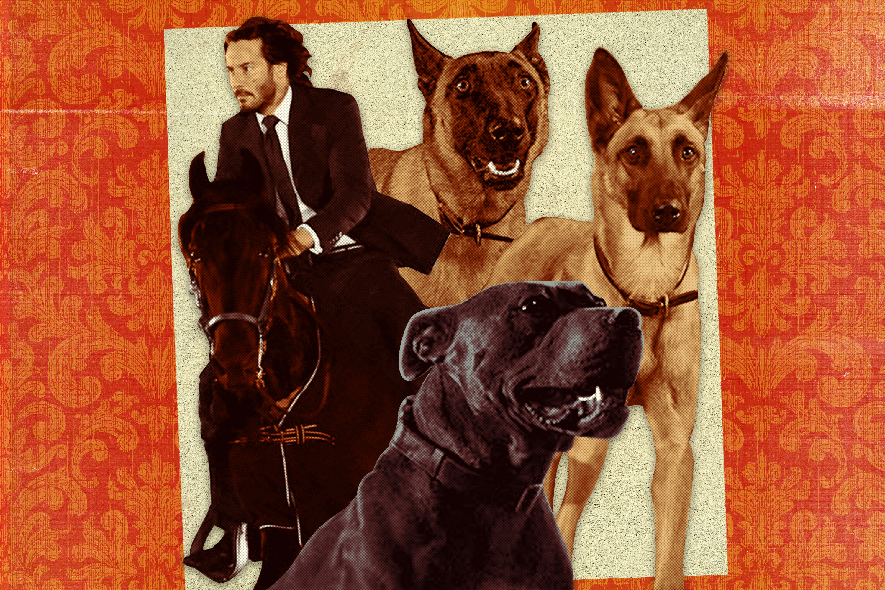 Not Just Puppies: How ‘John Wick: Chapter 3—Parabellum’ Turned Animals ...