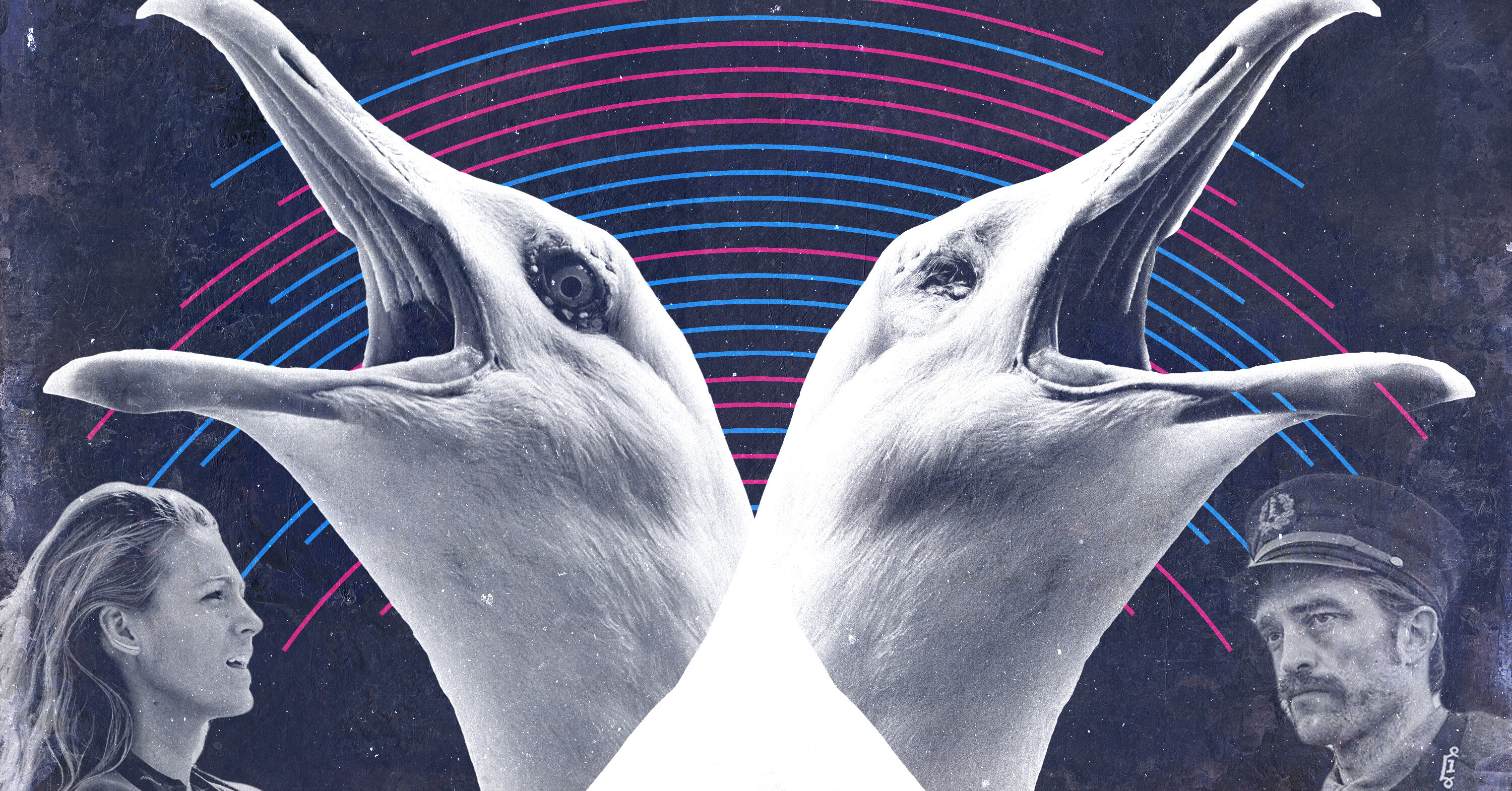 ‘The Lighthouse’ and ‘The Shallows’ Are the Best (Seagull-Related ...