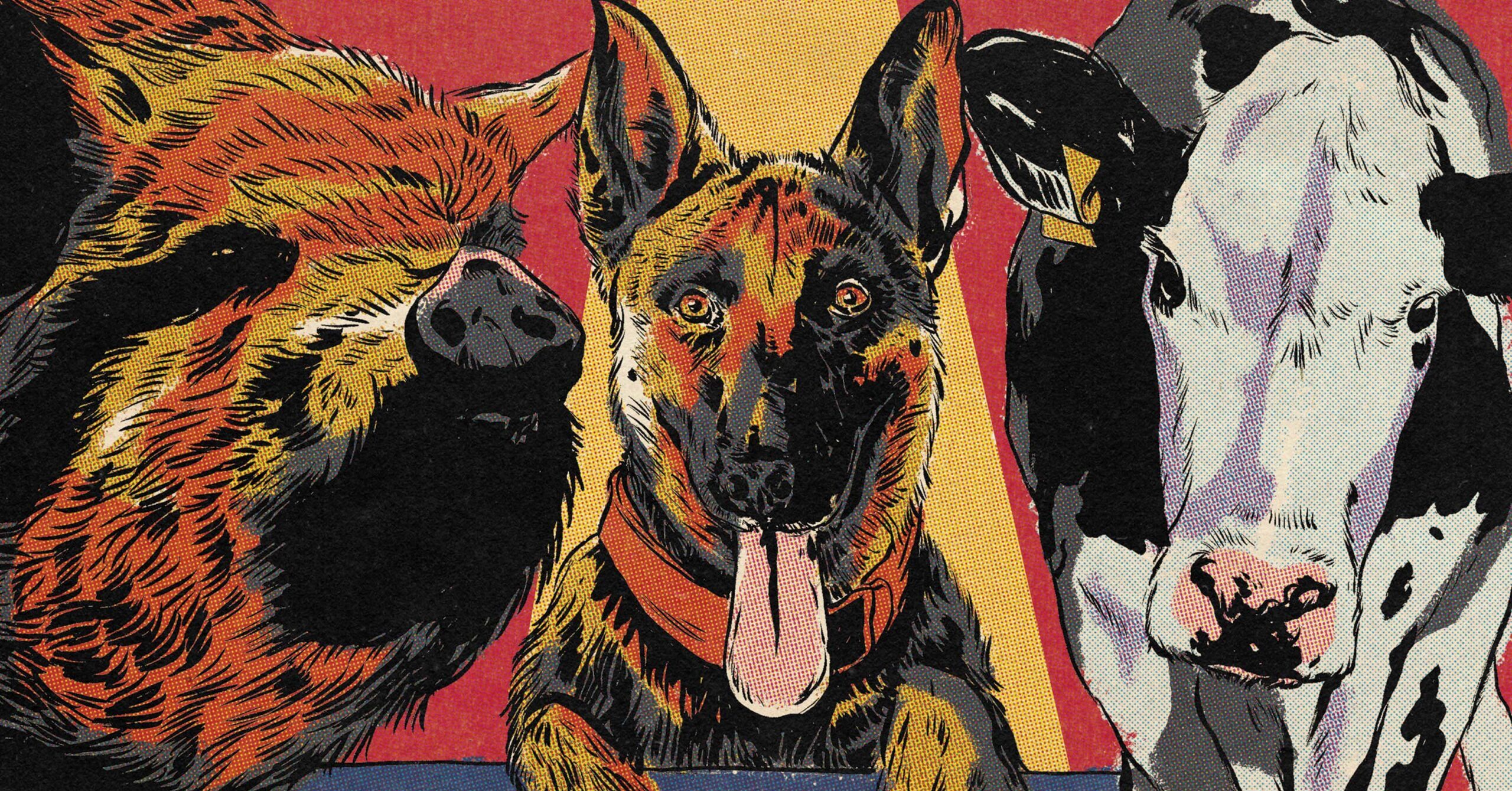 How Hollywood’s Animal Practices Were Finally Tamed - The Ringer