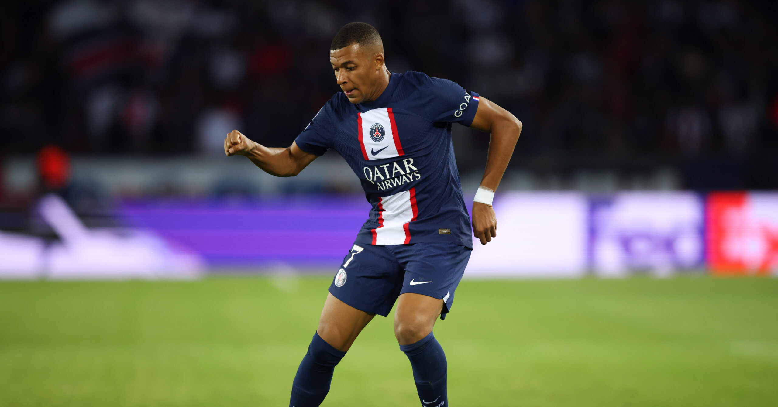 Collector vs. Investor Comparison, Rare Mbappé Card, Upcoming Shows ...