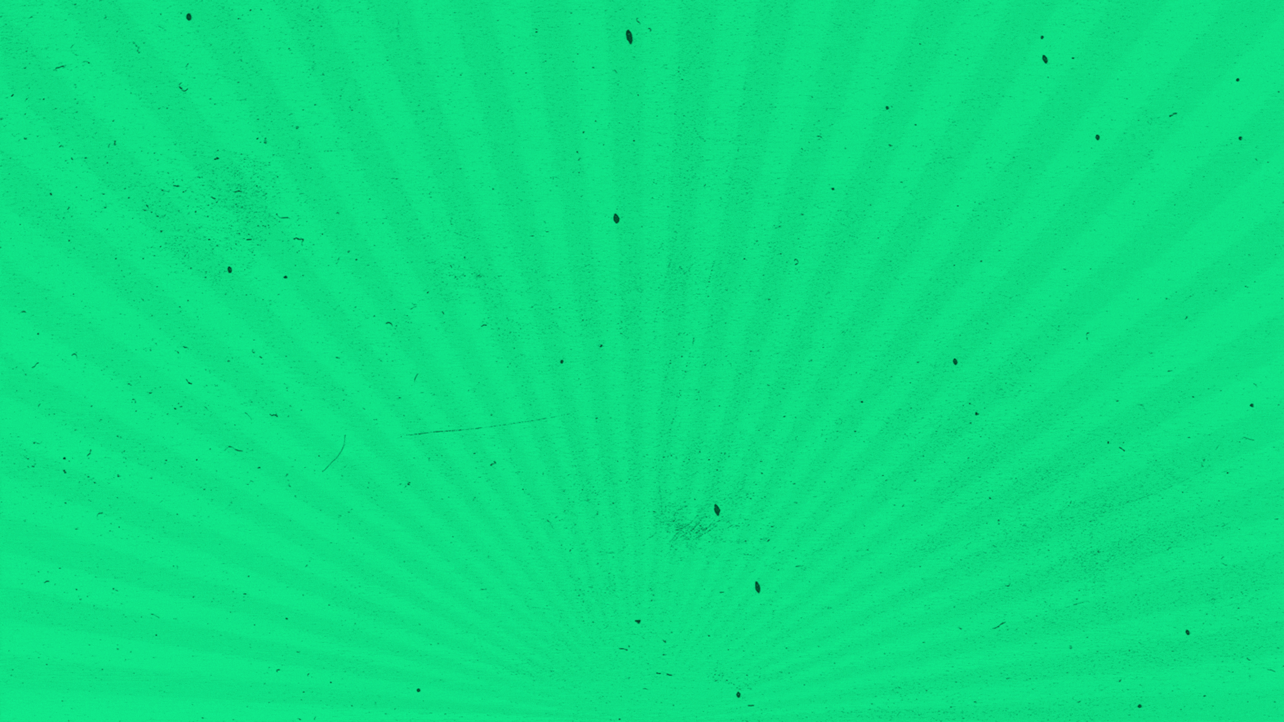 And You’re Watching the Disney Channel - The Ringer