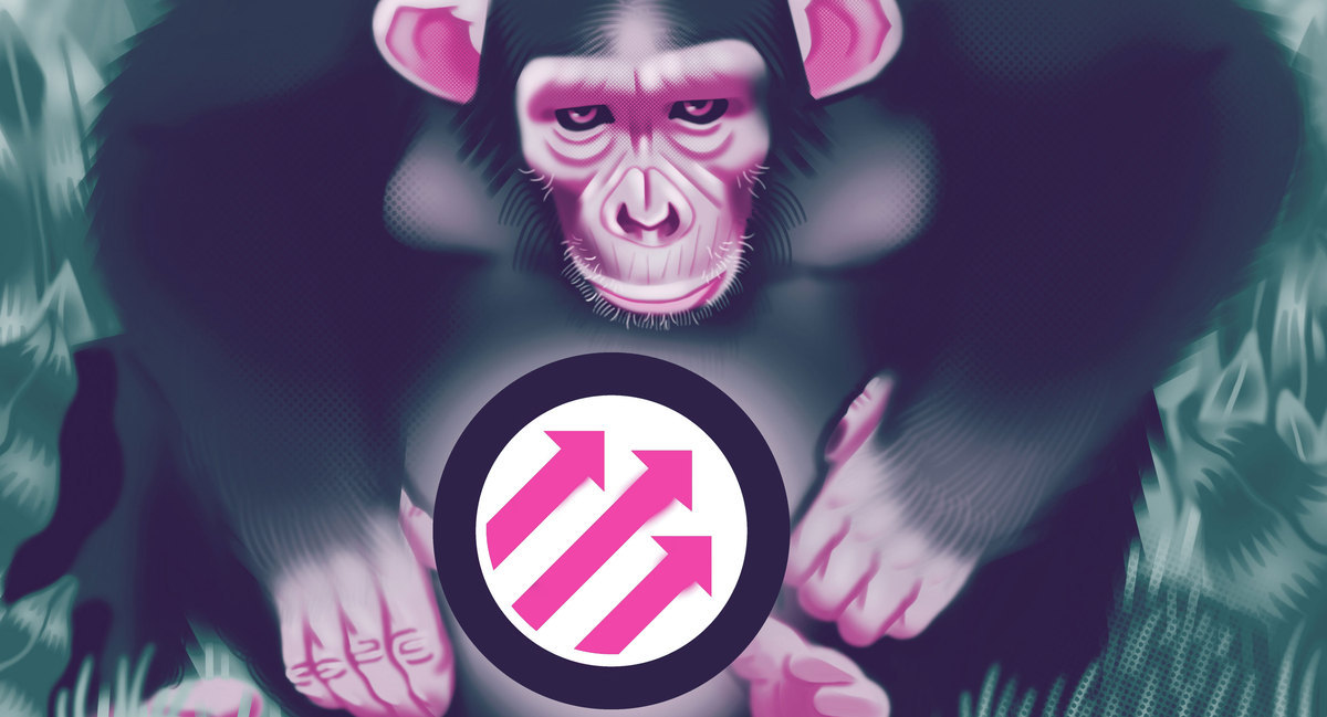 The Ballad of Ray Suzuki: The Secret Life of Early Pitchfork and the ...