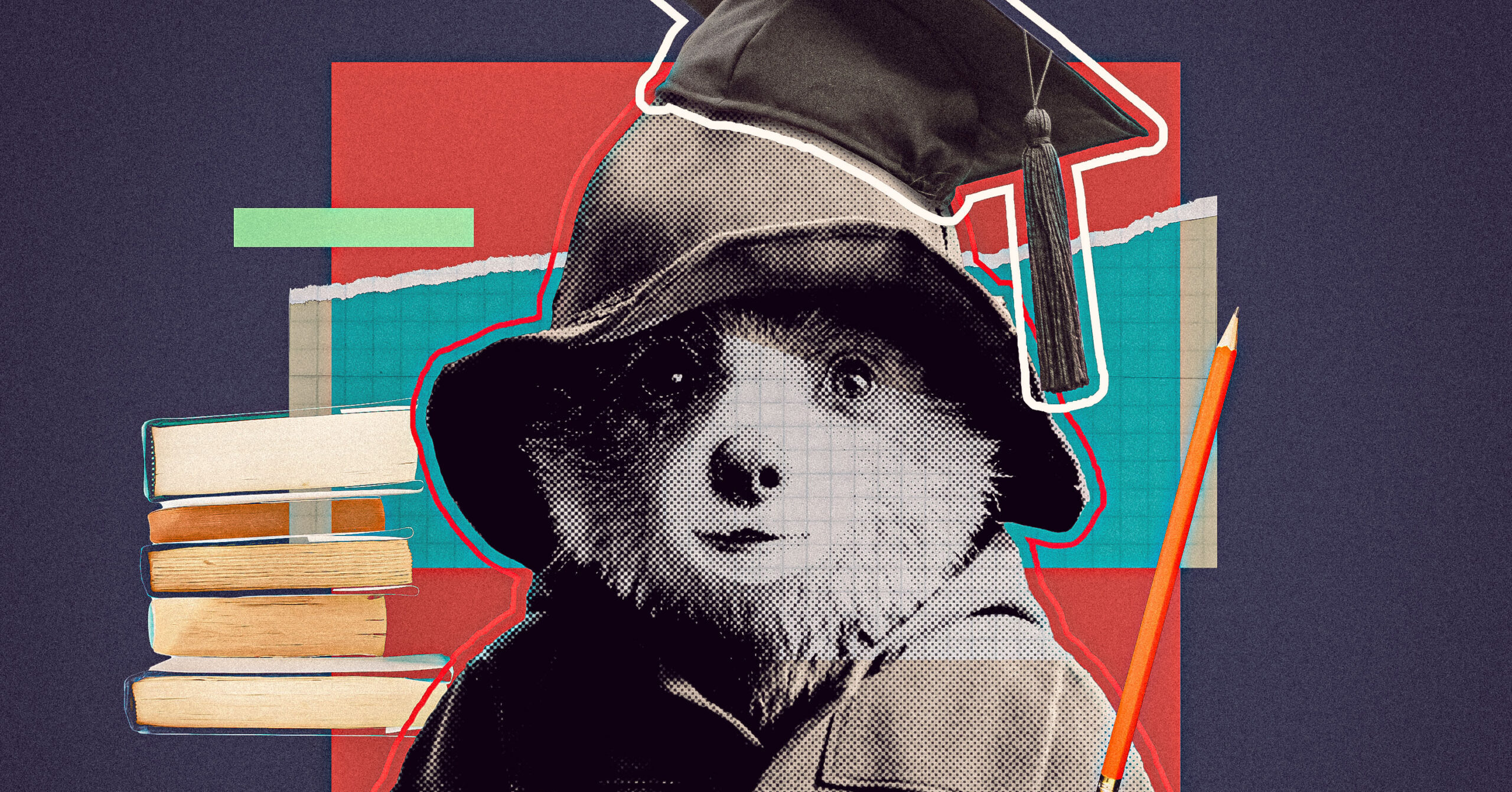 Paddington Bear: The Next Step in Animal Evolution, or Unprecedented Mass Delusion? - The Ringer